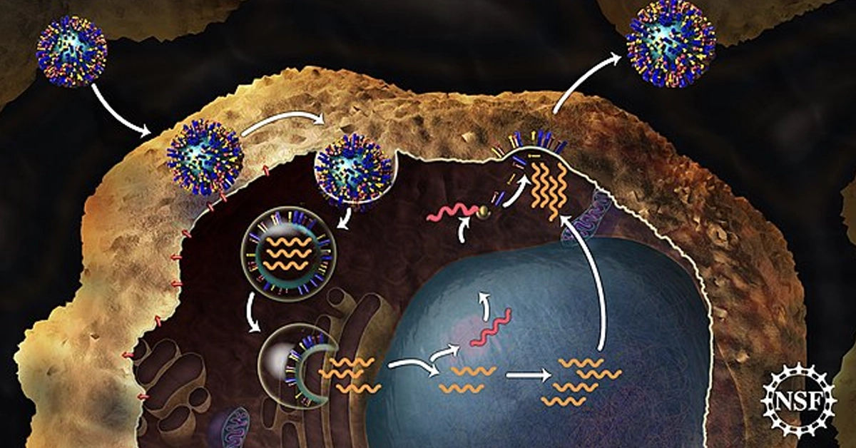 ANAFAM - Are We Facing Another Coronavirus-Like Viral Pandemic?
